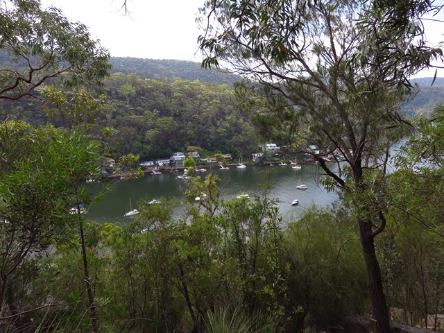 Berowra to Berowra Waters (GNW) - Aussie Bushwalking
