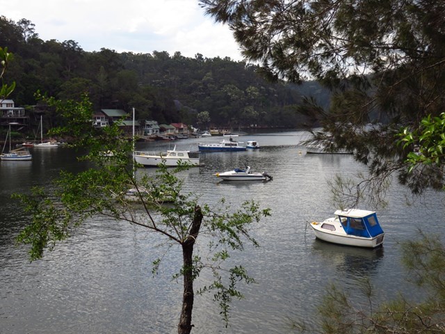 Berowra Waters to Cowan (GNW) - Aussie Bushwalking