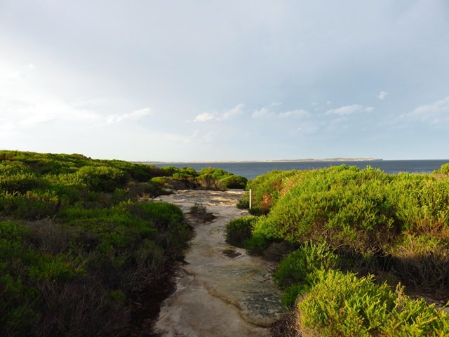 Bundeena to Jibbon Head Circuit - Aussie Bushwalking