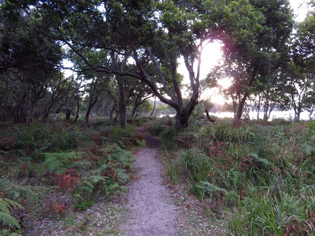 Bundeena to Jibbon Head Circuit - Aussie Bushwalking