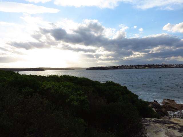 Bundeena to Jibbon Head Circuit - Aussie Bushwalking