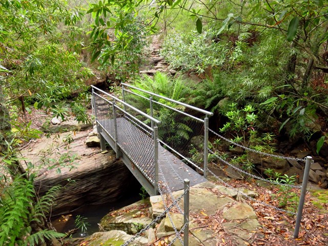 Illawarra Escarpment Track (Forest Walk) - Aussie Bushwalking