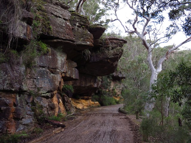 Lady Carrington Drive - Aussie Bushwalking