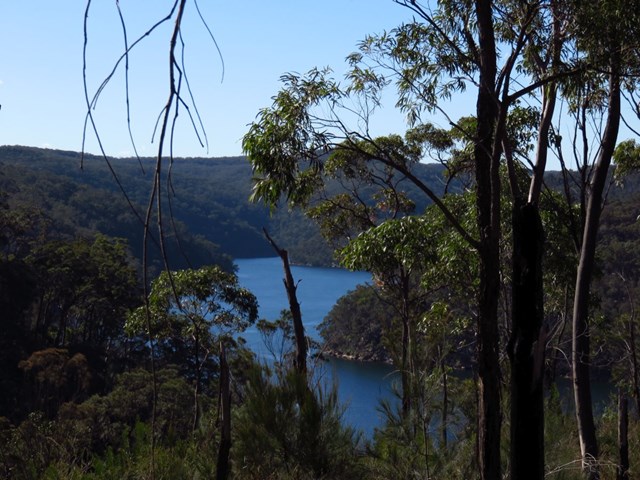 Mt Kuring Gai to Berowra - Aussie Bushwalking