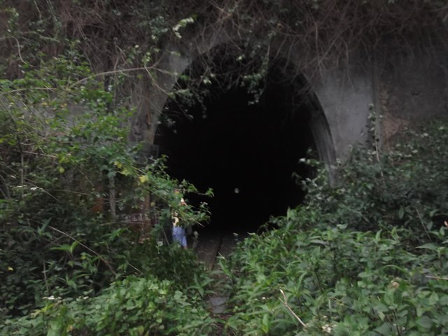 Burringbar Range Tunnel - Aussie Bushwalking