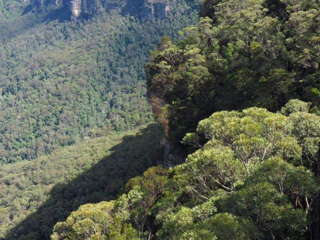 Sublime Point Lookout - Aussie Bushwalking