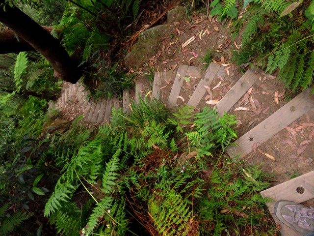 Sublime Point Track - Aussie Bushwalking