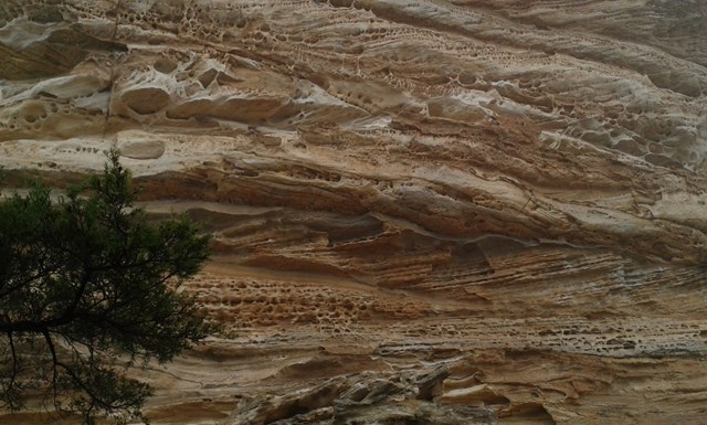 Wind Cave - Aussie Bushwalking