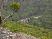 Illawarra Escarpment Track (Forest Walk) - Aussie Bushwalking